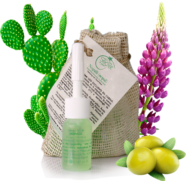 Nopalli, 6 de 3 ml – Tienda Naturalsecretxpatl